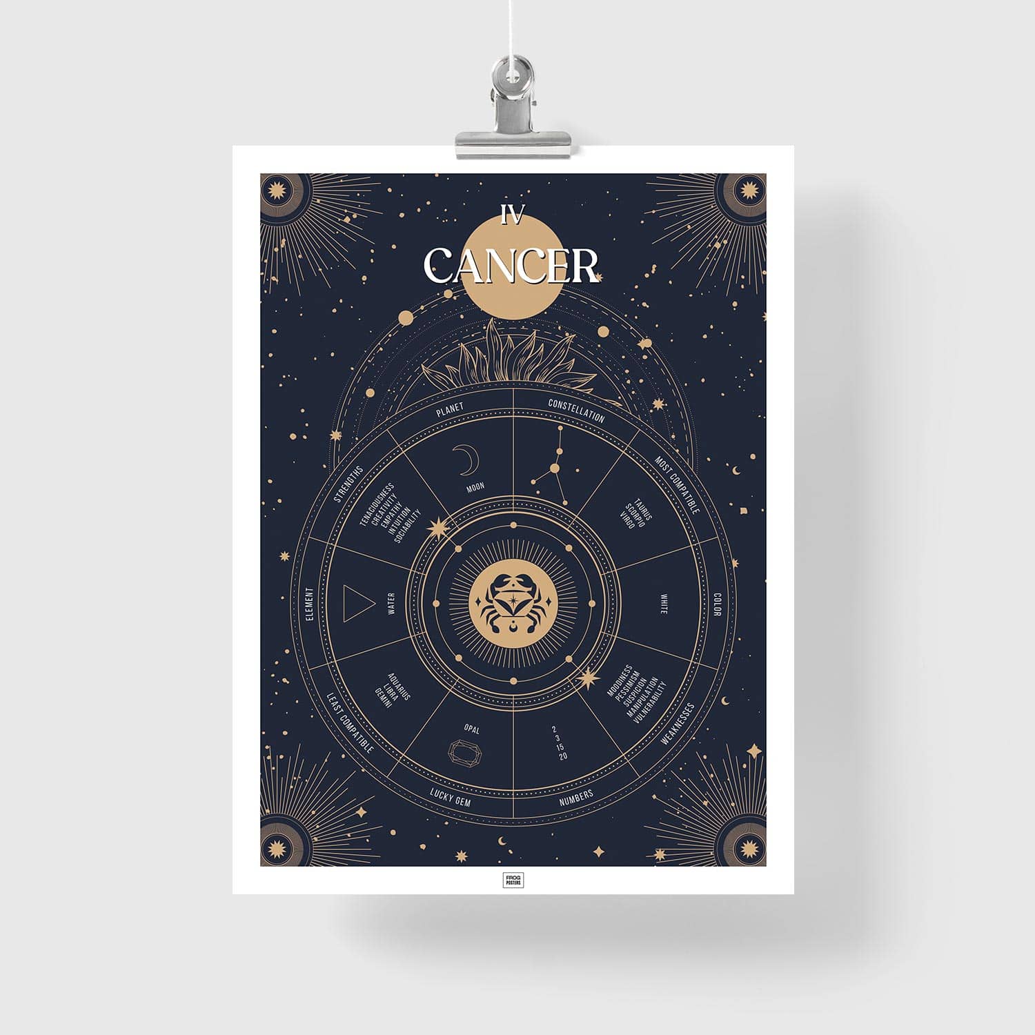 Cancer Zodiac Poster - Frog Posters