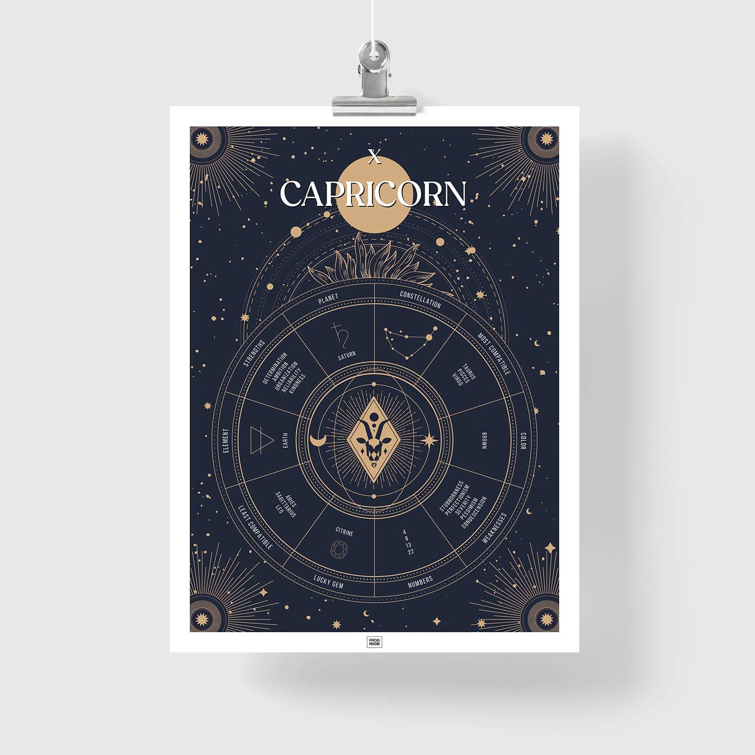 Capricorn Zodiac Poster - Frog Posters