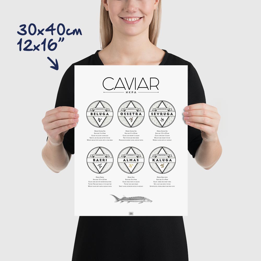 Caviar Poster - Frog Posters