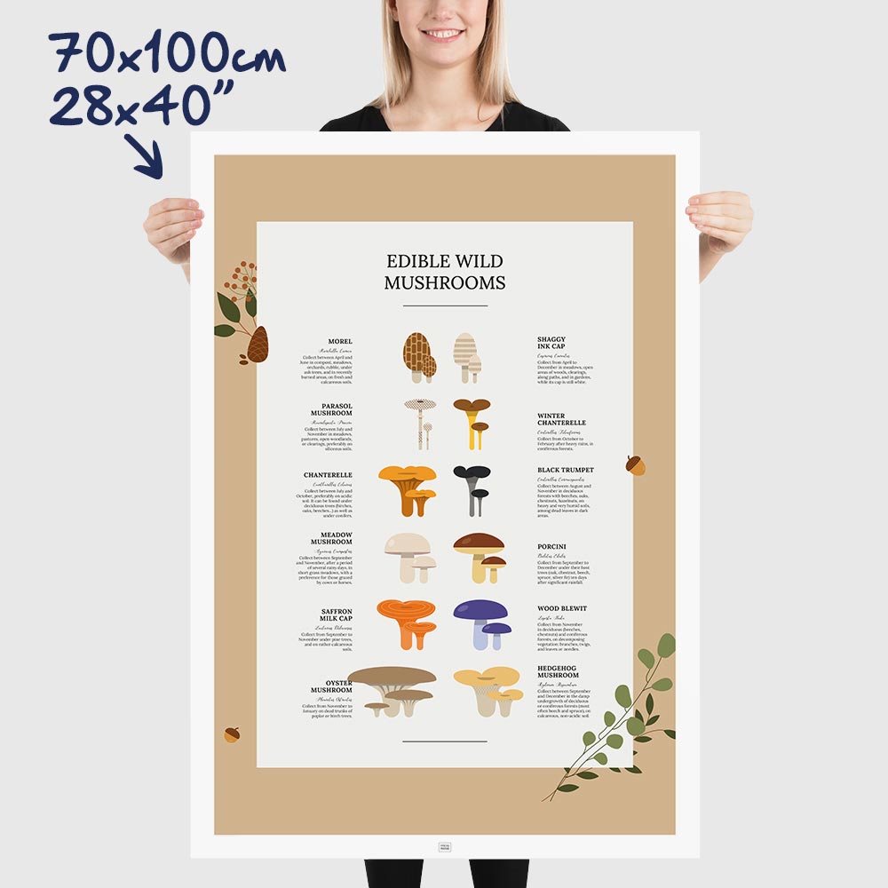 Edible Wild Mushrooms Poster - Frog Posters