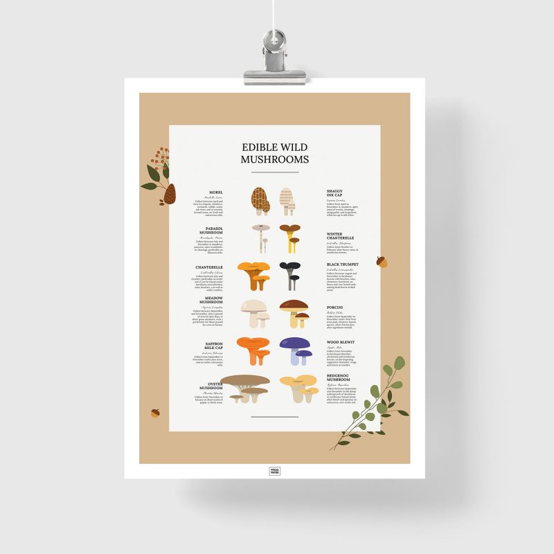 Edible Wild Mushrooms Poster - Frog Posters