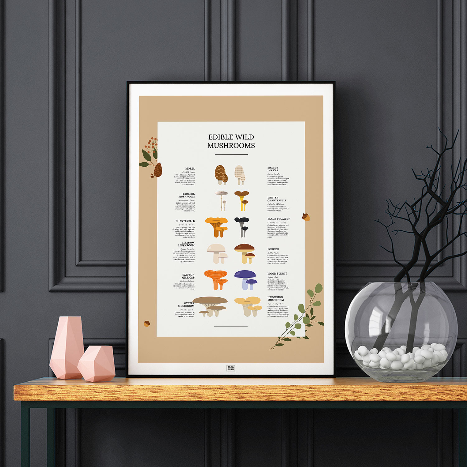 Edible Wild Mushrooms Poster - Frog Posters