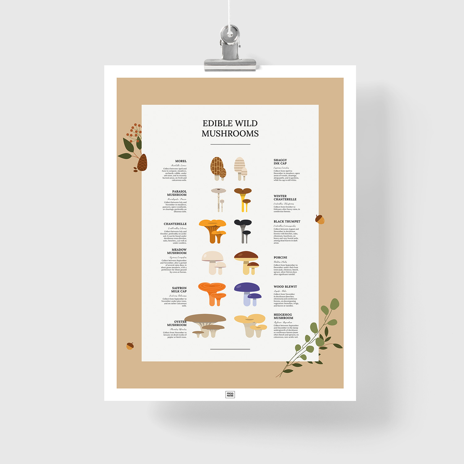 Edible Wild Mushrooms Poster - Frog Posters
